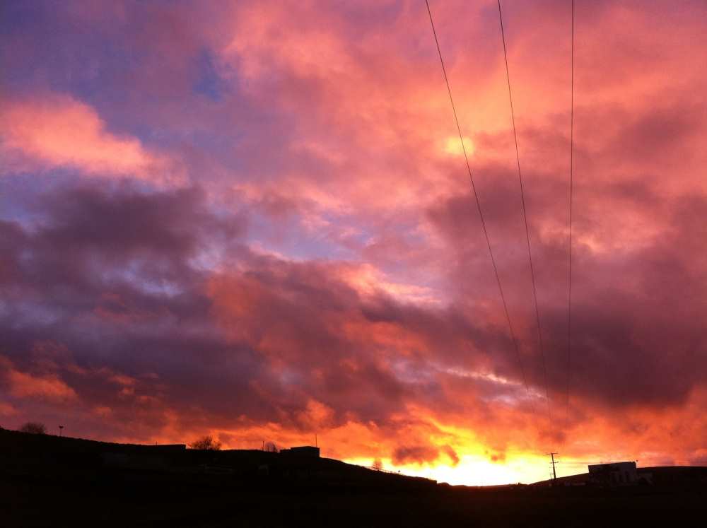 Reference Photo – Unison Colour